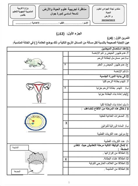 9ème Année De Base Concours Exemple Concours 2024 Tuniteststn