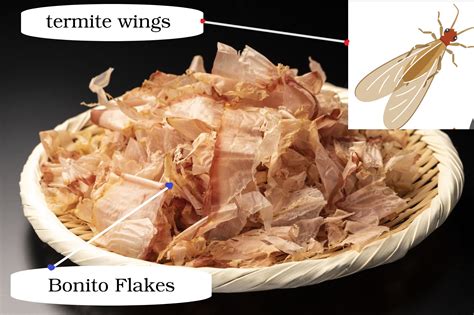 Bonito Flakes Another Name At Justin Pope Blog