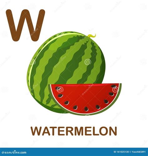 Watermelon Icon With Letter W Cartoon Style Object Vector