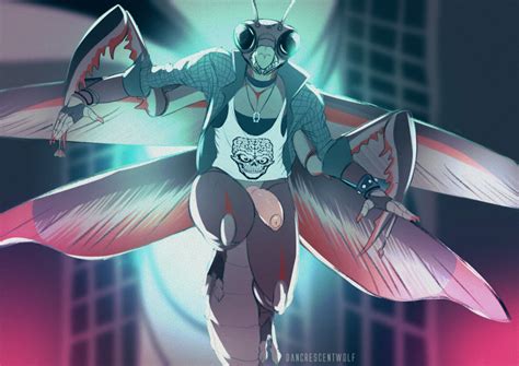 Rule 34 2024 2 Toes 4 Arms Antennae Anatomy Anthro Arthropod