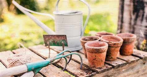 정원에서 정원 도구를 닫습니다 괭이 경운기 물을 수 있고 나무 테이블에 화분 사진 Unsplash의 물뿌리개 이미지