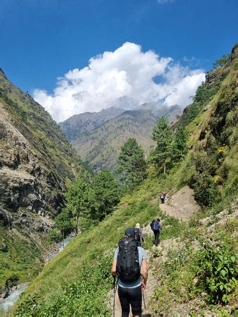 Mandatory Vs Compulsory Decoding Trekking Guide Requirements In Nepal