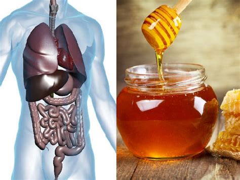 Side Effects Of Eating Too Much Honey இந்த அளவுக்கு மேல நீங்க தேன்