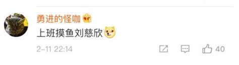 “电厂写作”被国资小新点名，刘慈欣回应