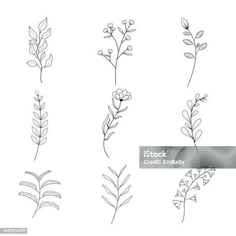 미니멀리스트 꽃과 식물 컬렉션 손으로 그린 꽃 가지 나뭇잎 허브와 야생 식물이 라인 스타일로 설정되어 있습니다 장식 결혼식 및 초대 카드 디자인 프로젝트 일러스트레이터 벡터