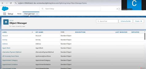 Text Types Custom Fields In Salesforce Crs Info Solutions