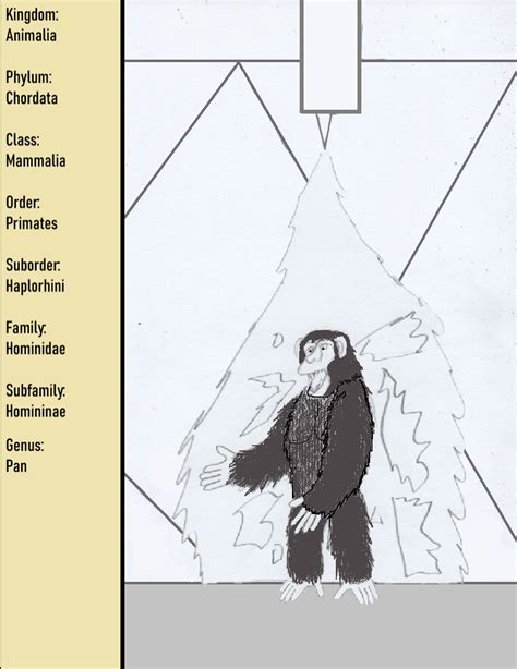 Genus Pan By Goodtimesroll44 On Deviantart