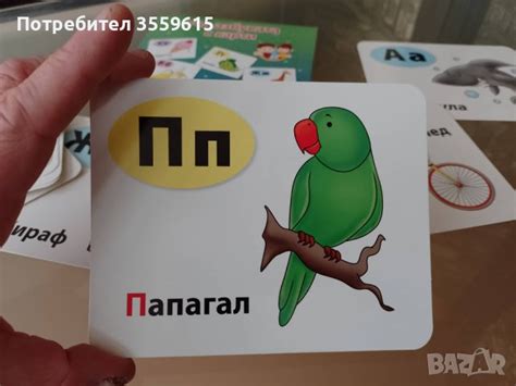 Азбука комплект детски карти за изучаване на азбуката в Образователни игри в гр Варна