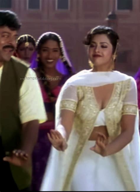 Meena 14 Sneham Kosam Hot Cleavage Hd Photo Indiancelebblog