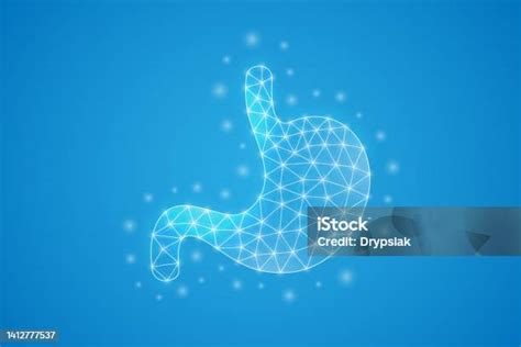 흰색 연결된 점이있는 위장 낮은 폴리 기호 3d 기하학적 다각형 장기 해부학 소화 시스템 이식 디자인 벡터 일러스트레이션 위에 대한 스톡 벡터 아트 및 기타 이미지 Istock