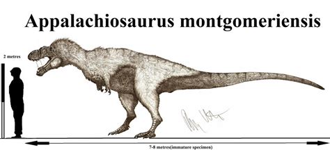 Appalachiosaurus Montgomeriensis By Teratophoneus On Deviantart