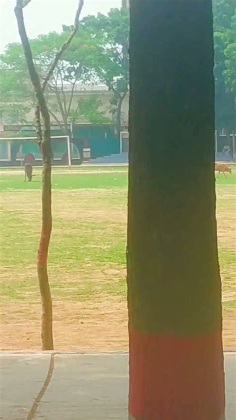 Bhakash Officialvideo Banglasong Tor Moner Vitor Kar Chobi Aka তোর মনের ভিতর কার ছবি আকা