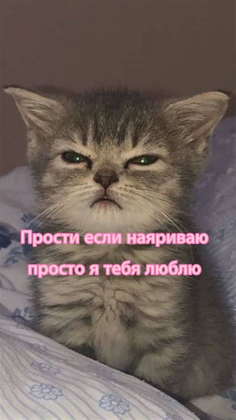 Я тебя люблю Lockscreen Planner Mems