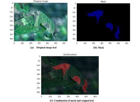 Samples Images In Datasets With Their Mask Download Scientific Diagram