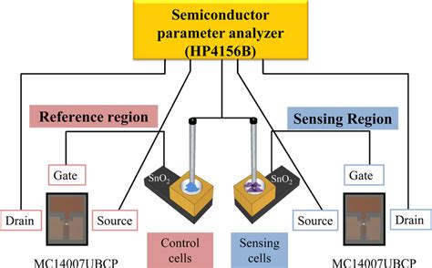 Top View Image Of The Eg Isfet Sensor Device The Eg Isfet Sensor Download Scientific Diagram
