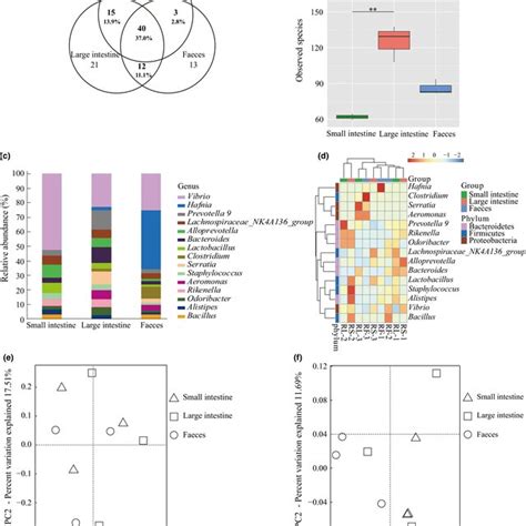 Comparisons Of The Microbial Community Composition And Abundance In Download Scientific Diagram