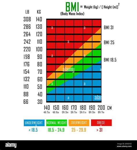 check bmi chart and calculate your bmi body mass index