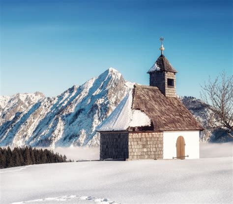 Image Hover Effect Elementskit