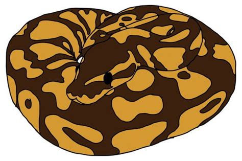 Coiled Python Vector Graphic By Arsa Adjie · Creative Fabrica