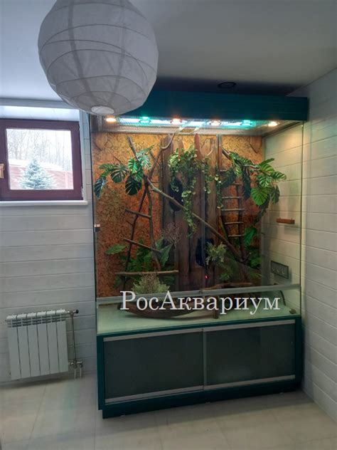 Для ящериц, змей, черепах - Террариумы продажа