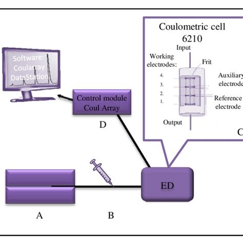 Scheme Of Flow Injection Analysis With Electrochemical Detector Download Scientific Diagram