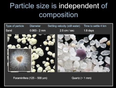 23 Marine Sediment Classification Flashcards Quizlet