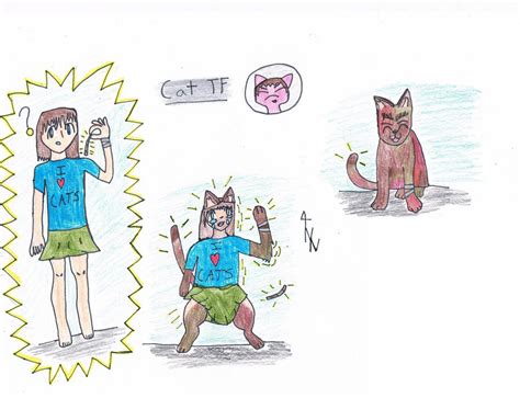 Cat Tf Sequence Kind Of I Guess By Thenashnetwork On Deviantart