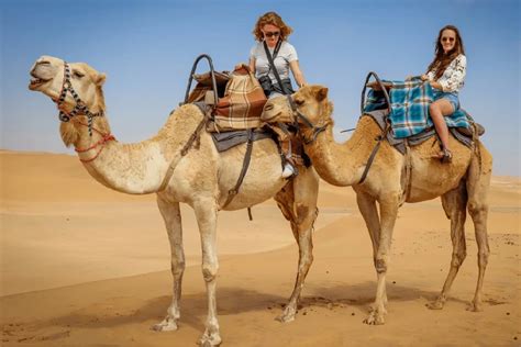 4 Seater Dune Buggy Rental Desert Host Tourism