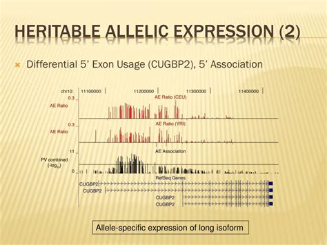 Ppt Cis Regulatory Snps Altering Transcription Detected By Allelic Expression Mapping