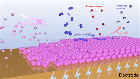 A Panoramic View On Lithium Mediated Electrochemical Dinitrogen Reduction