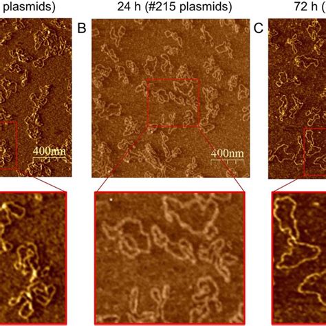 Uv Absorption Of Ectoine In Water Absorption Spectra Of 33 µm Ectoine