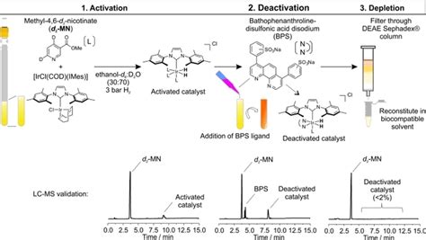 Schematic Presentation Of The Catalyst Deactivation Procedure 1
