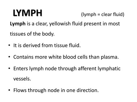 Anatomy Presentation On The Lymphatic Systempptx