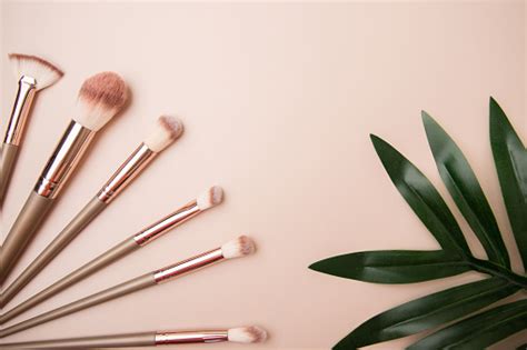 홍당무 브러시 얼굴 도구 화장품 액세서리 아름다움 및 패션 화장용 브러시에 대한 스톡 사진 및 기타 이미지 화장용 브러시 메이크업 화장품 생활필수품 Istock