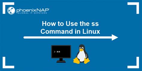 What Is Linux Socket And How Linux Uses Sockets