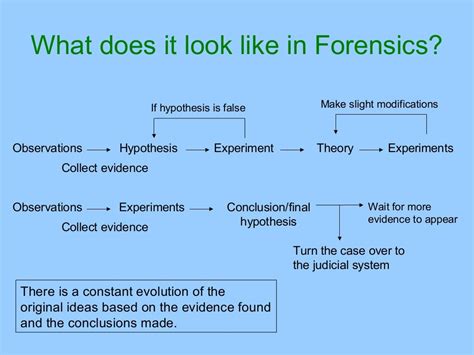 Scientific Method Forensics