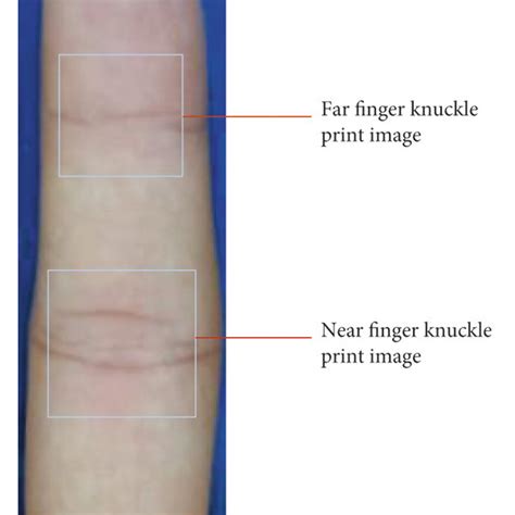 schematic diagram of finger knuckle print and roi image a finger