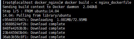 在docker中构建nginx服务部署 docker 部署nginx CSDN博客