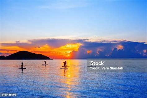 사람 실루엣 스탠드 Sup 패들 보드 바다 일몰 해변 활동적인 젊은 남자 여자 서핑 패들링 보드 바다 일출 서핑 보드 건강 한 라이프 스타일 수상 스포츠 여름 휴가 휴식