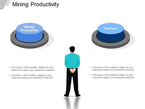 Mining Productivity Ppt Powerpoint Presentation Inspiration Deck Cpb