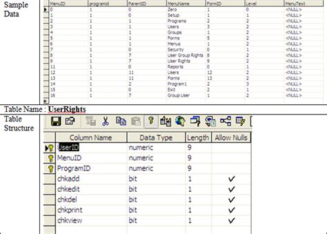 Application Level Security System In VB NET