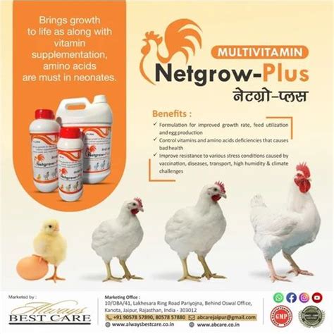 Poultry Feed Supplements 1l Netplex B Livestock Supplement Manufacturer From Jaipur
