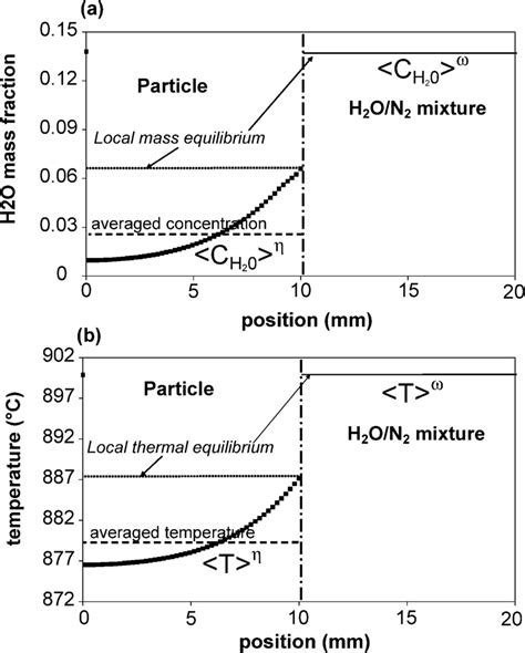 Illustration Of The Assumption Of Local Mass Equilibrium A And Local Download Scientific