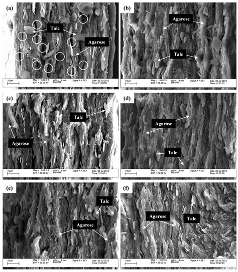 Scanning Electron Microscope Sem Micrographs Of The Fractured Surface