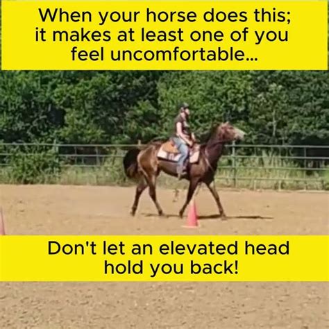 On Inverting And Not Tracking Up Youtube