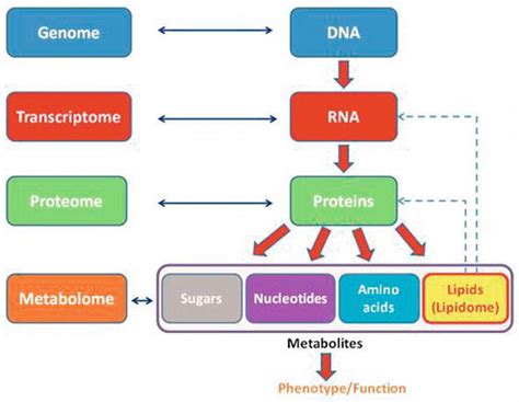 metabolomics intechopen