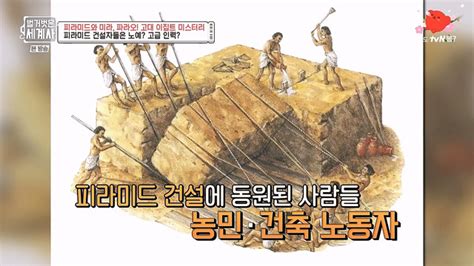 이집트 피라미드 건설자들의 노동 환경 인스티즈instiz 인티포털 카테고리