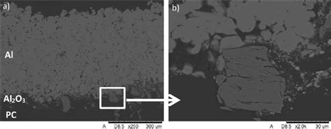 Sem Micrographs Of Aluminium Cold Sprayed Coating A And Enlargement Download Scientific