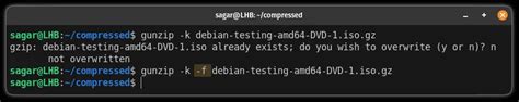 Using Gunzip Command In Linux