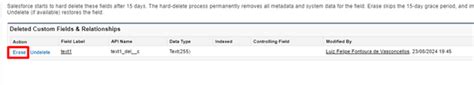 How To Hard Delete Custom Fields In Salesforce Posts